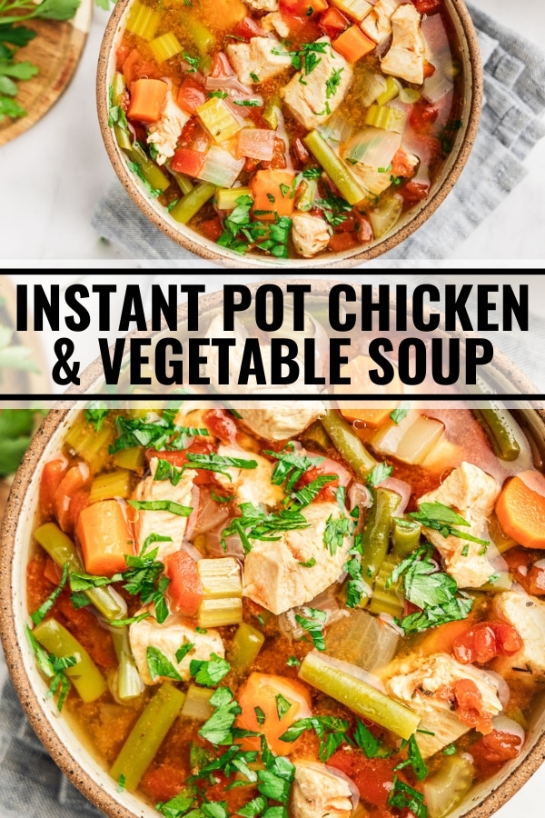 Instant Pot Chicken and Vegetable Soup - The Whole Cook