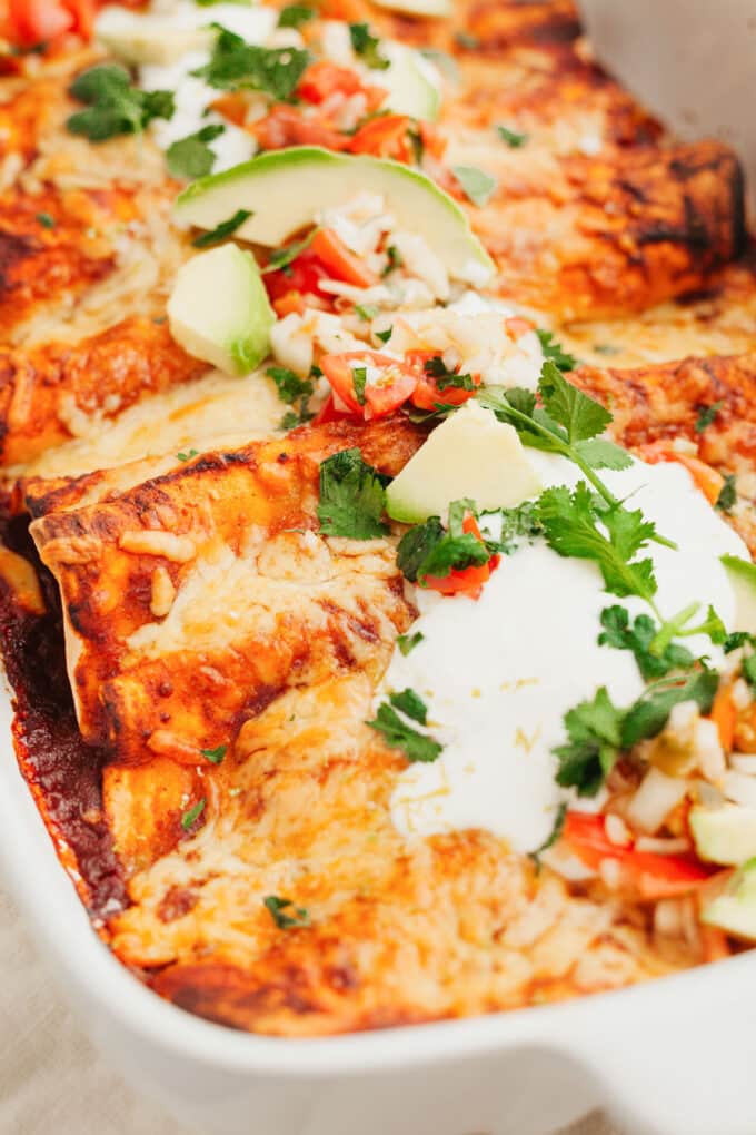 Easy Chicken Enchiladas - The Whole Cook